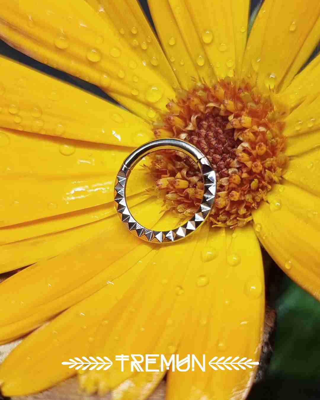 Clicker Egypt – Tremun Piercing