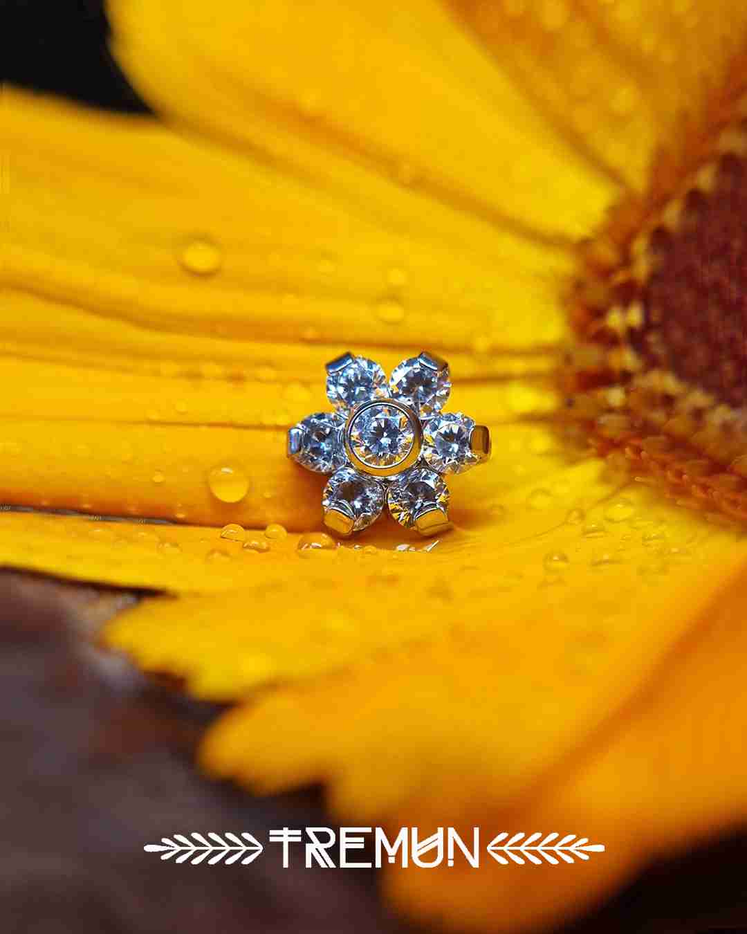 Cz Dalia – Tremun Piercing